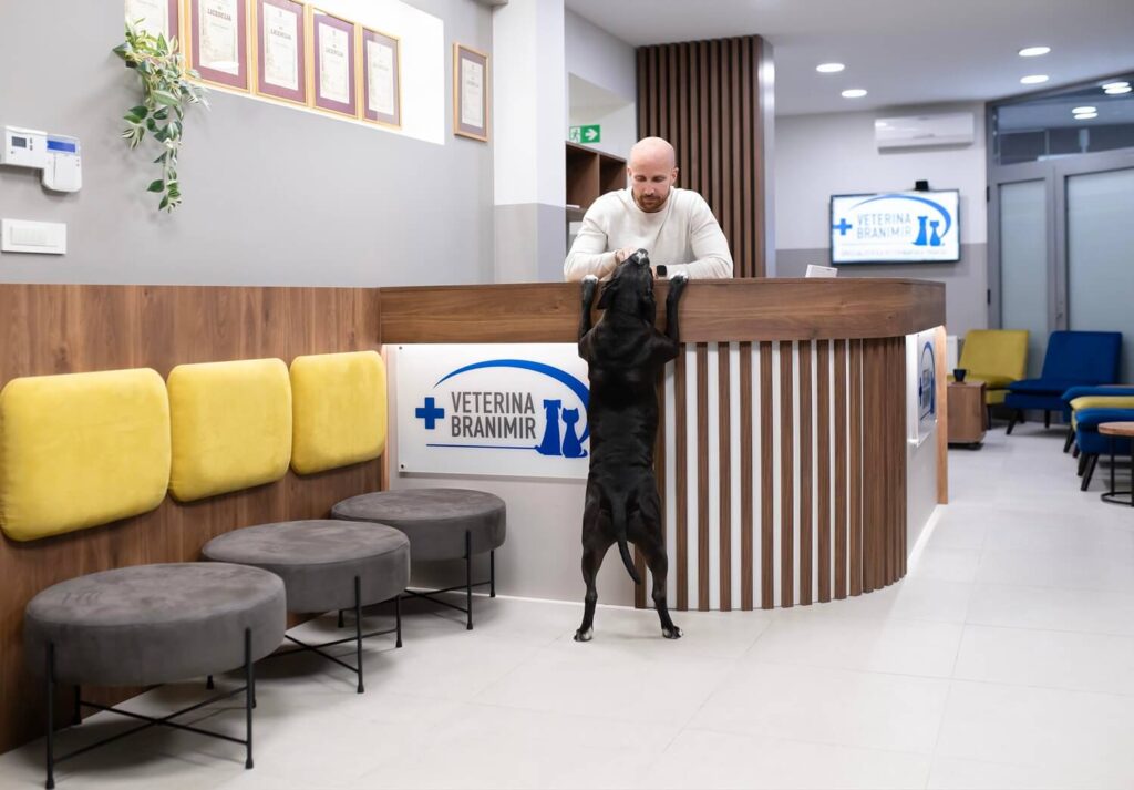 Dežurni Veterinar Zagreb | Veterina Branimir