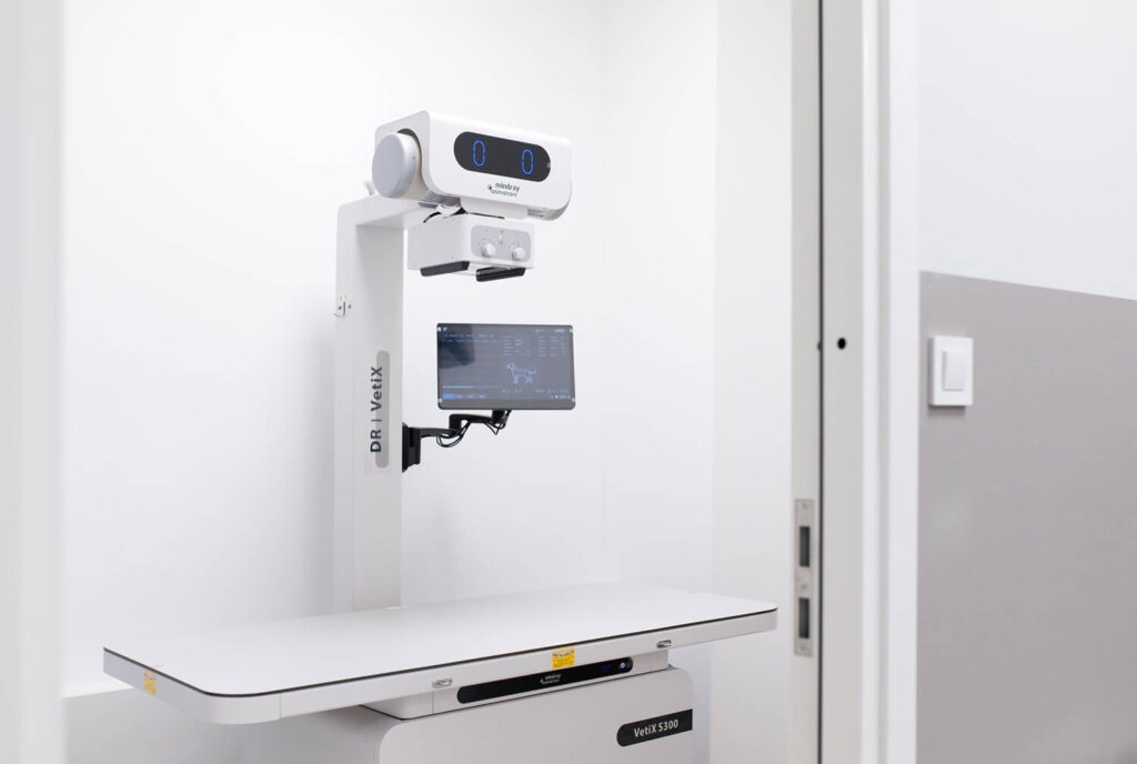 Dežurni Veterinar Zagreb | Veterina Branimir