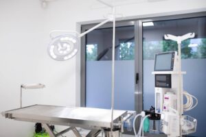 Dežurni Veterinar Zagreb | Veterina Branimir