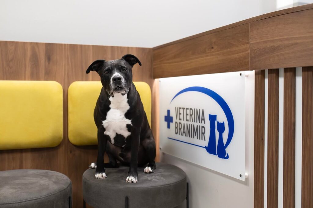 Dežurni Veterinar Zagreb | Veterina Branimir