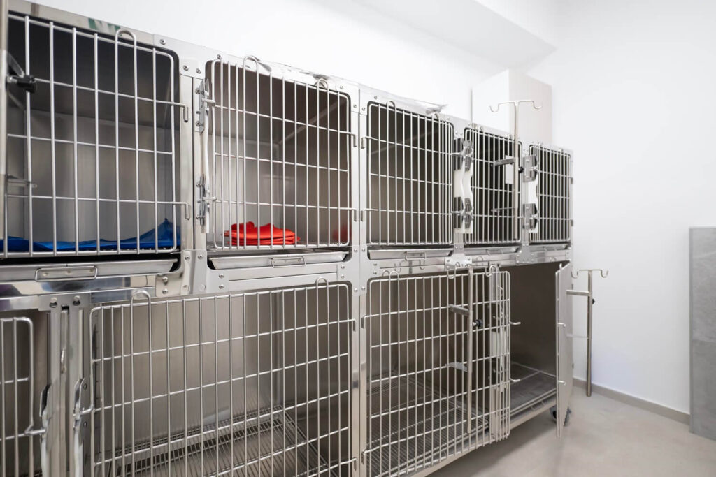 Dežurni Veterinar Zagreb | Veterina Branimir