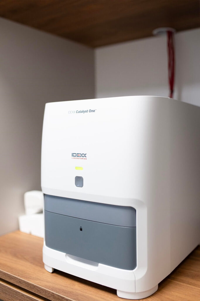 Dežurni Veterinar Zagreb | Veterina Branimir